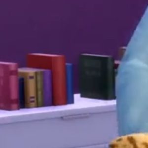 The Sims 4 Delivery Express - June 20, 2023 - SDX - The Sim Architect