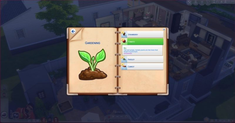 The Sims 4 Update 1.116.202.1030 / 1.116.202.1230 / Console 2.14 - July ...